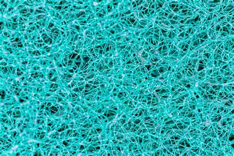 Deep Learning In Data Science Towards Data Science