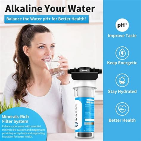 Under Sink Alkaline Water Filter