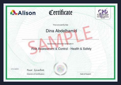 Dina Abdelhamid On Linkedin Im Happy To Share That Ive Obtained A