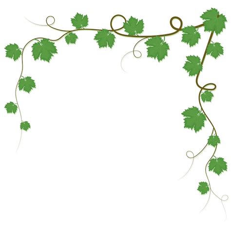 Vine Borders Clip Art Rose Vine Border Vector Images Over 380