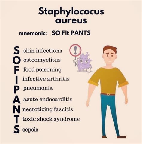 Staphylococcus Aureus Infection Symptoms