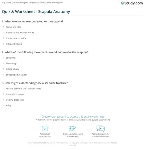 Quiz And Worksheet Scapula Anatomy