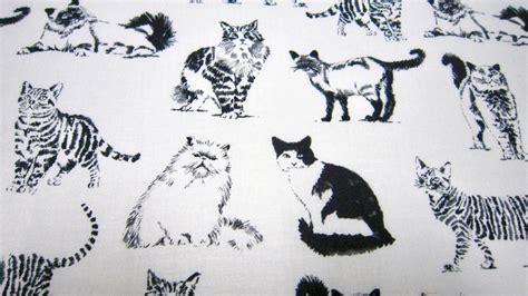 Black And White Cat Fabric At Karen Batey Blog