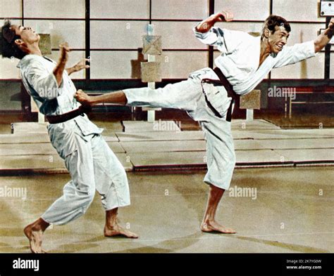 James Coburn Film Our Man Flint 1966 Characters Derek Flint Director