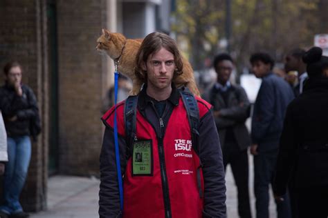 A Street Cat Named Bob Luke Treadaway James Bob Big Issue S
