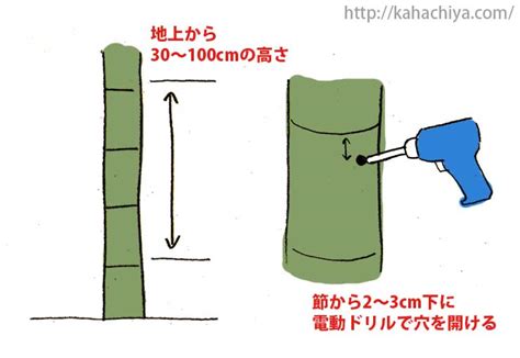 細い竹を駆除する方法！除草剤で根まで枯らすのがオススメ お庭きれい相談室