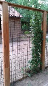24 Hog Wire Fence Ideas For Stylish And Secure Yards