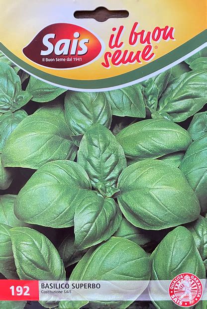 Basil Superbo 13 192 Seeds From Italy