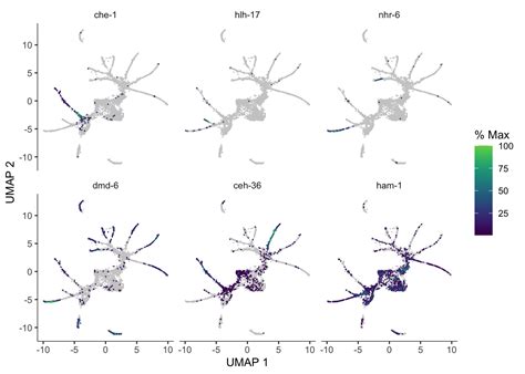 Scrnaseq Scrna Seq Data Analysis