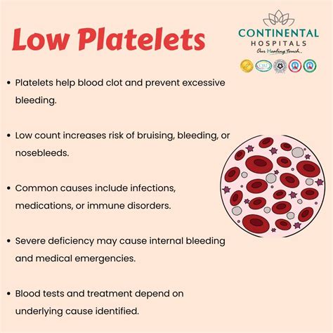 Platelet Count Low What It Means