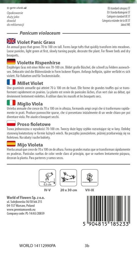 Violet Panic Grass Premiumseeds Producer Of Seeds