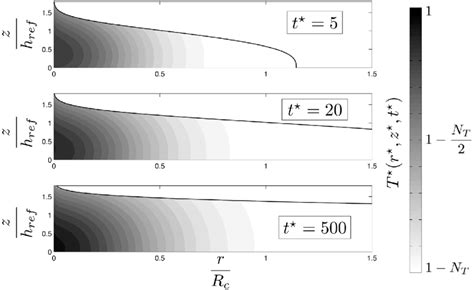 Temperature Structure At Different Times In A Current With N T 0 5 N Download Scientific