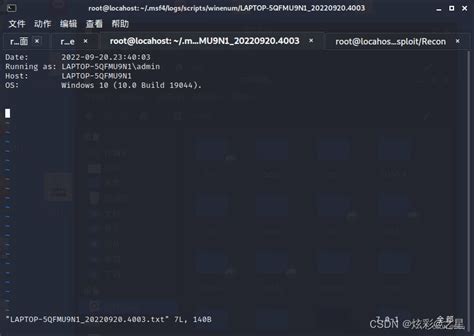 内网渗透 内网信息收集 Csdn博客
