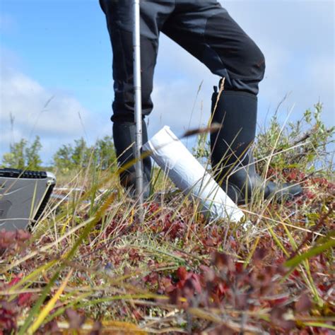 Cameron Proctor Assistant Professor Doctor Of Philosophy