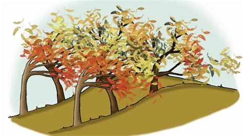 Wilde Winde Wehen Ein Herbstlied In Moll Zum Singen Und Für Alle Sinne