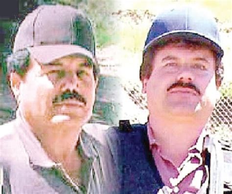 Ismael El Mayo Zambada Y El Chapo
