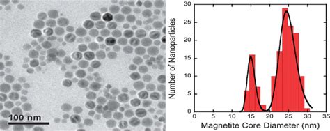 Tem Image Left And Particle Size Analysis Right For Pre Modified Download Scientific