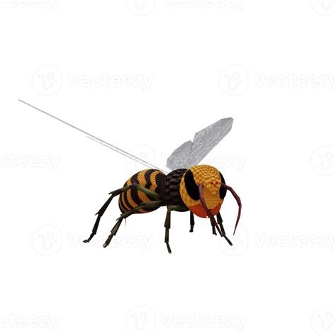 3d Wasp Isolated 22308460 Png