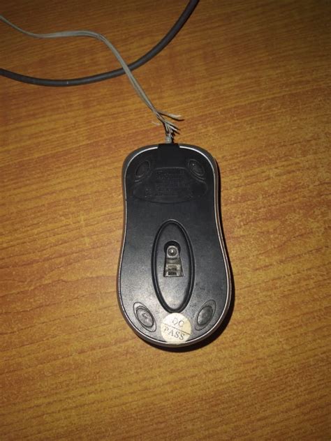 The Worlds Tiniest Mouse Size Comparison Rmousereview