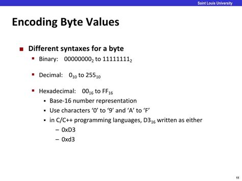 ppt data representation in memory csci 224 ece 317 computer