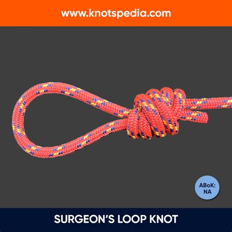 Master The Bowline Knot 10 Variations For Every Situation