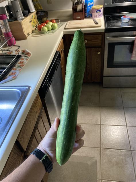My Burpless Cukes Are Going Crazy R Gardening