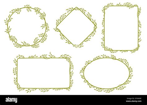 Olive Leaf Frames Vector Set Of Delicate Elegant Borders For