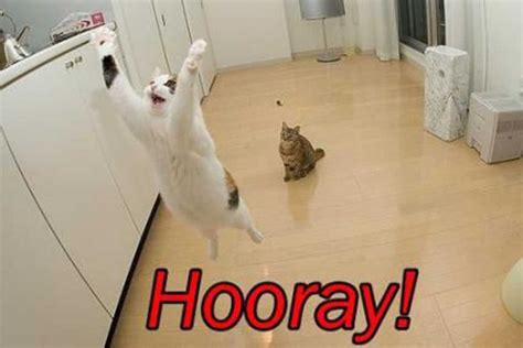 Hooray Funny