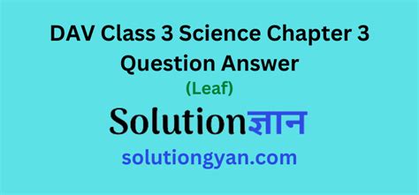 Dav Class 3 Science Chapter 3 Question Answer Leaf Solutiongyan
