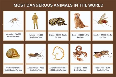 Extreme Animals List