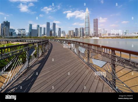 Park Trestle In City Of Shenzhen Chinabeautiful Mix Of Green Trees