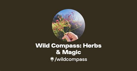 Wild Compass Herbs And Magic Linktree