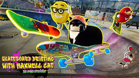 Skateboard Drifting With Maxwell Cat The Game Simulator For Nintendo