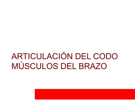 Anatomia De La Articulación Del Codo Pptx