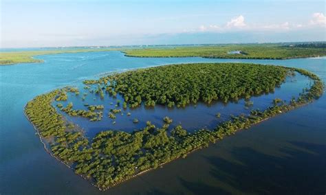 【寒假·科考】乘风破浪·逐梦深蓝 中国南海西沙群岛·北礁海域科学考察活动4晚5天【走进海龟救助站 深度研学红树林生态系统 日出观测 爱国
