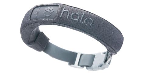 Halo Collar Announces Three Industry Award Wins Ken Ehrman