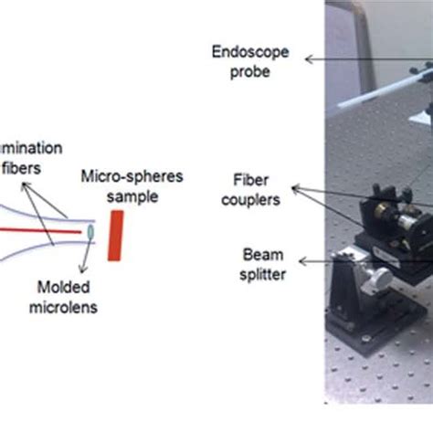Color Online Microlens Focal Length Measurement A Schematic Download Scientific Diagram
