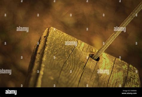 Old Wood Swing With Blurry Background Stock Photo Alamy