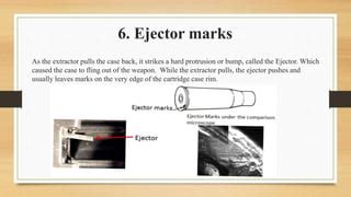 Examination Of Firearm Through Cartridge Case And Bulletpptx