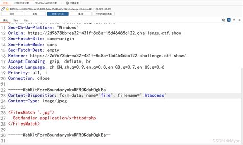 ctfshow web入门 文件上传（web166、web167）and（web168 web170）免杀绕过 ctfshow 文件上传 csdn博客