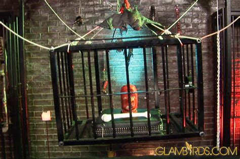 Horror Shop Sees A Lot Of Spit Roasts 20 Photos