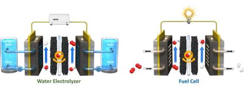 Developing Bifunctional Catalyst Performance Eurekalert