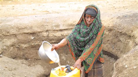 What Is Waqf Discover The True Waqf Meaning And Its Enduring Impact