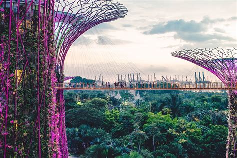 Gardens By The Bay Map To Tickets Opening Hours And Nightly Shows