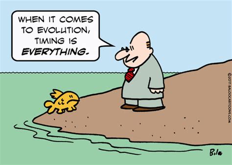 Baloos Cartoon Blog Evolution Cartoon