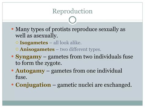 Animal Like Protists Ppt