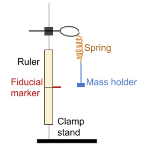 Pag 10 2 Observing Forced And Damped Oscillations Flashcards Quizlet