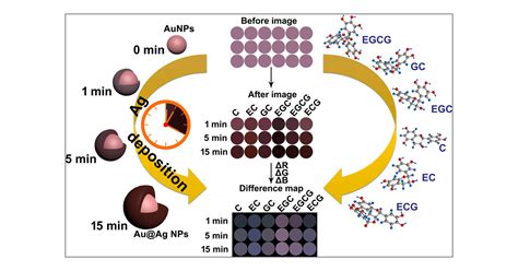 A Chrono Colorimetric Sensor Array For Differentiation Of Catechins Based On Silver Nitrate