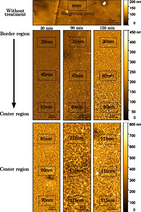 Atomic Force Microscopy Of The Modified Samples With Exposition Time Of