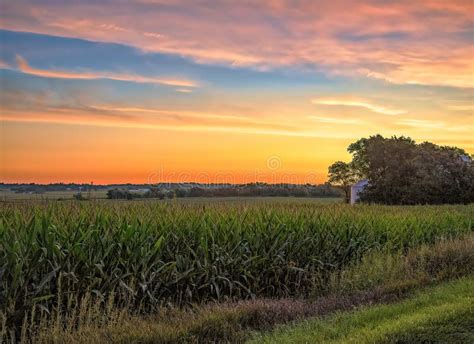 Iowa Cornfield Stock Image Image Of Prairie Evening 362832571